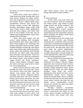 Sistem Saraf Pusat dan Perifer Biologi Kelas 11 | PDF