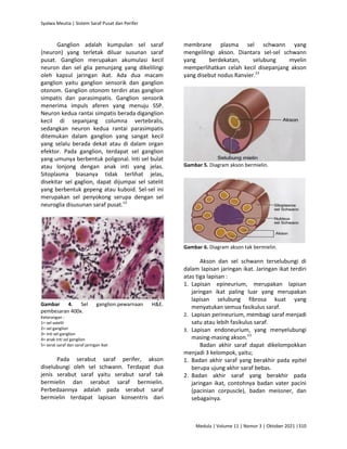 Sistem Saraf Pusat dan Perifer Biologi Kelas 11 | PDF