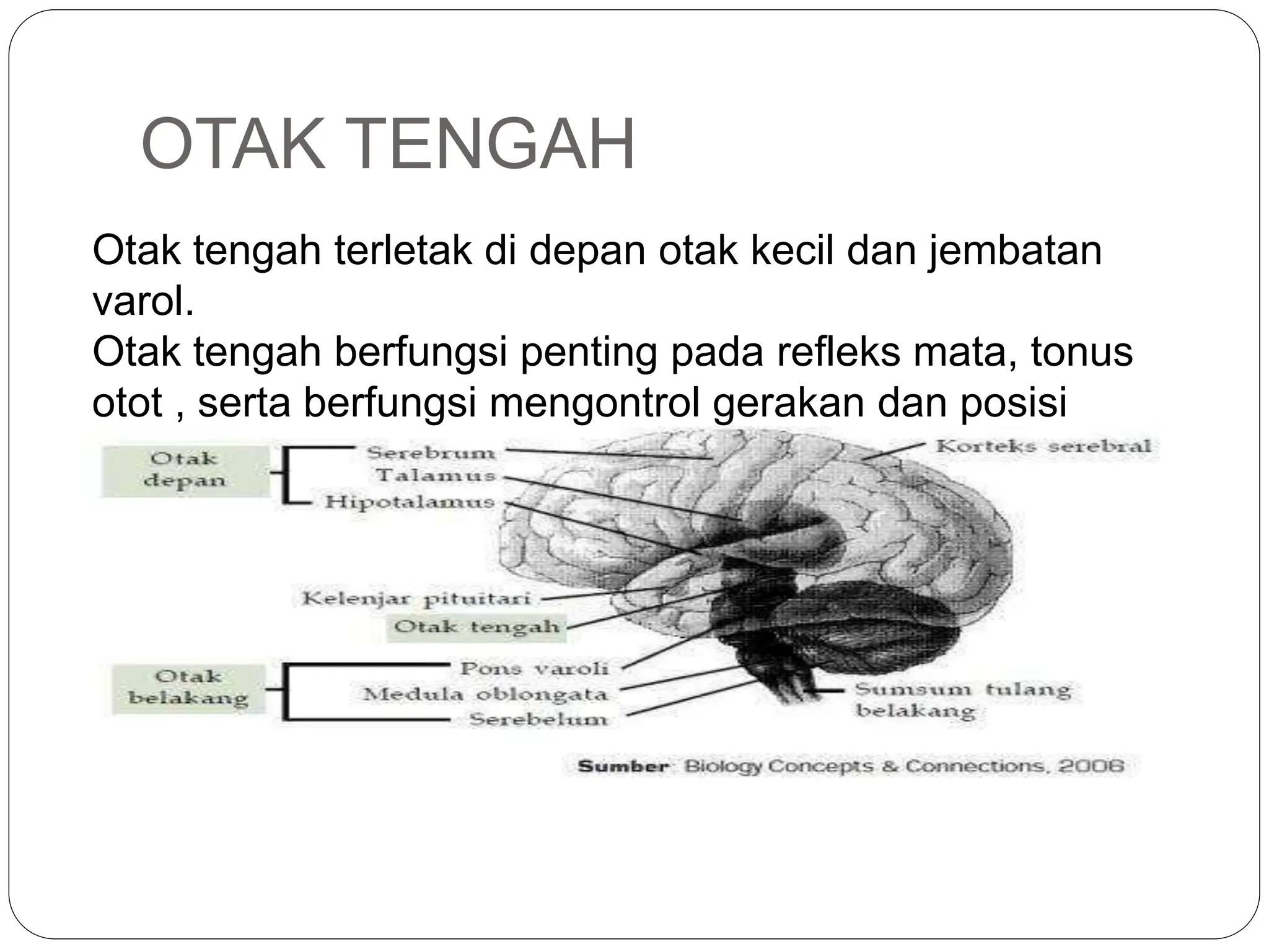 sistemsarafpusat-kelompok1-xi-miia2-150205060504-conversion-gate01 (1).pdf
