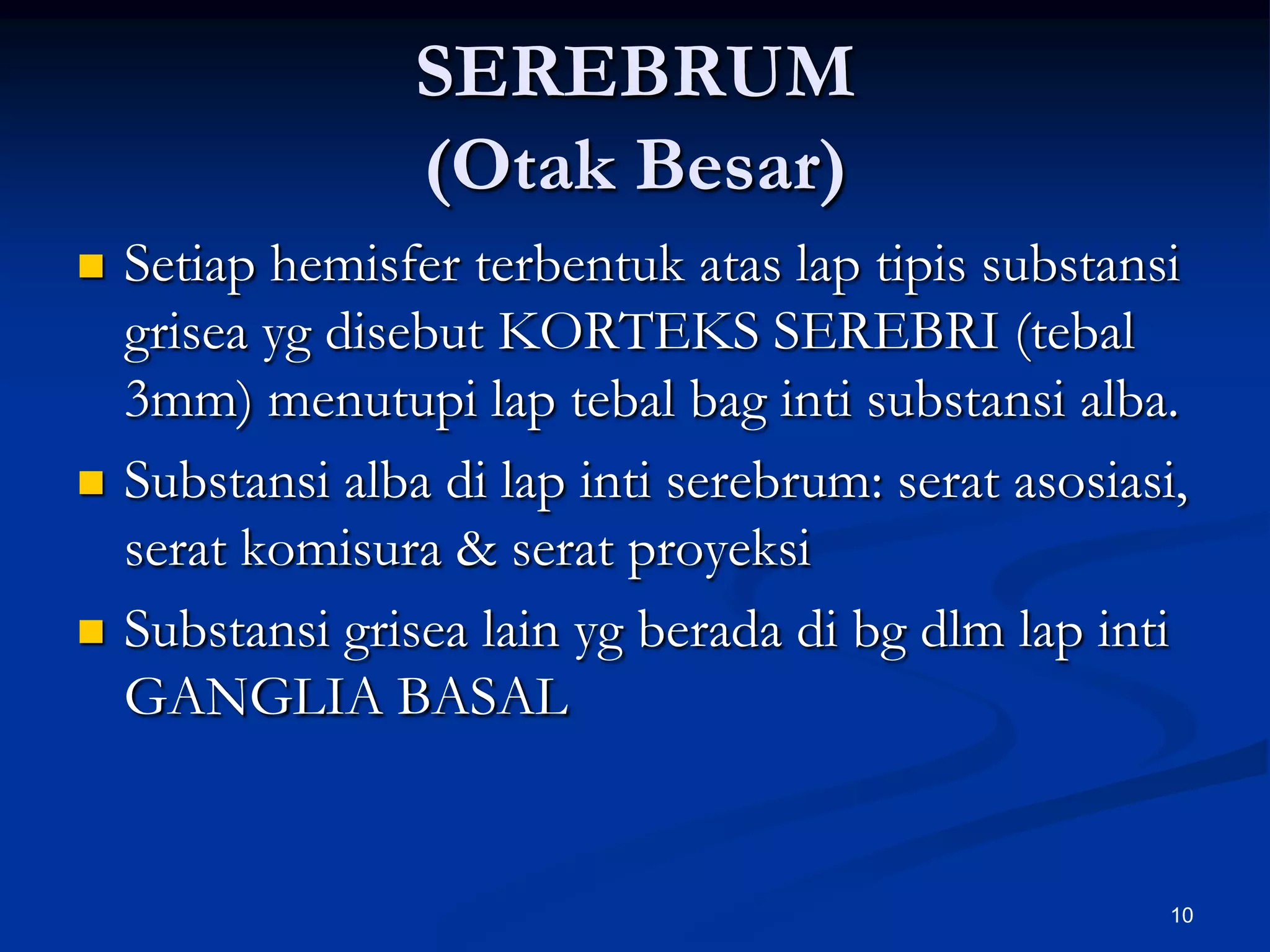 Sistem saraf pusat anatomi faal | PPTX