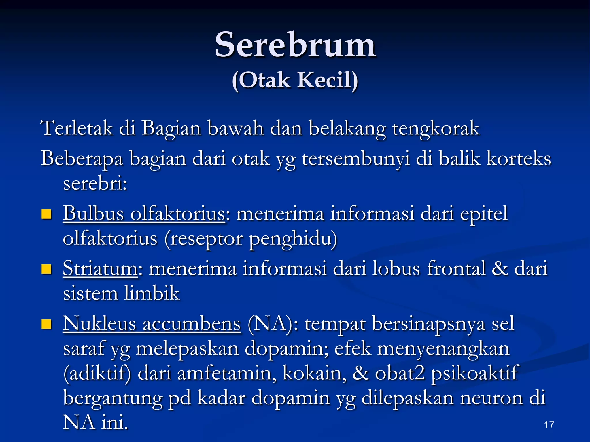 Sistem saraf pusat anatomi faal | PPTX