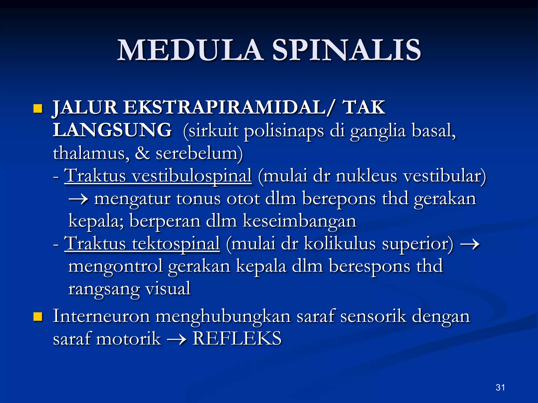 Sistem saraf pusat anatomi faal | PPTX