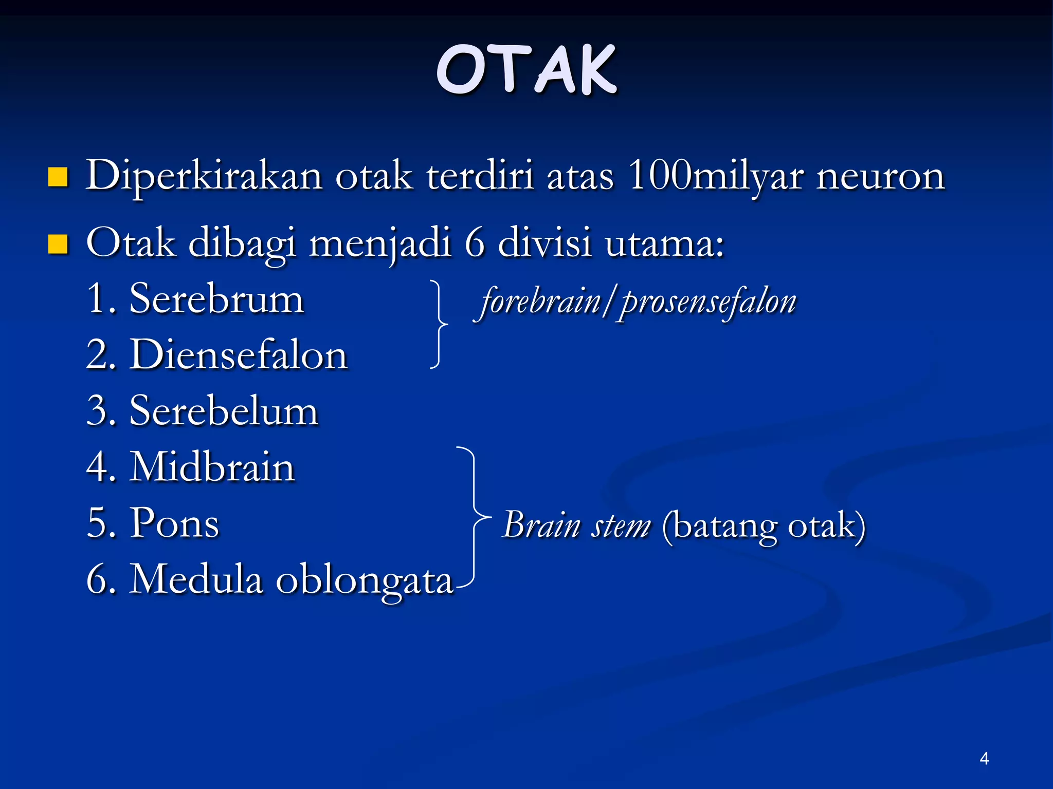 Sistem saraf pusat anatomi faal | PPTX