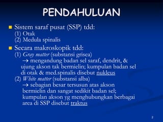 Sistem saraf pusat anatomi faal | PPTX