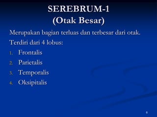 Sistem saraf pusat anatomi faal | PPTX