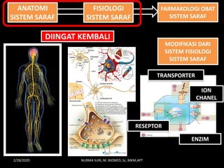 Sistem saraf pusat dan saraf otonom | PDF