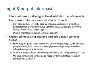 anatomi sistem saraf pusat dan perifer belajar mandiri.pdf