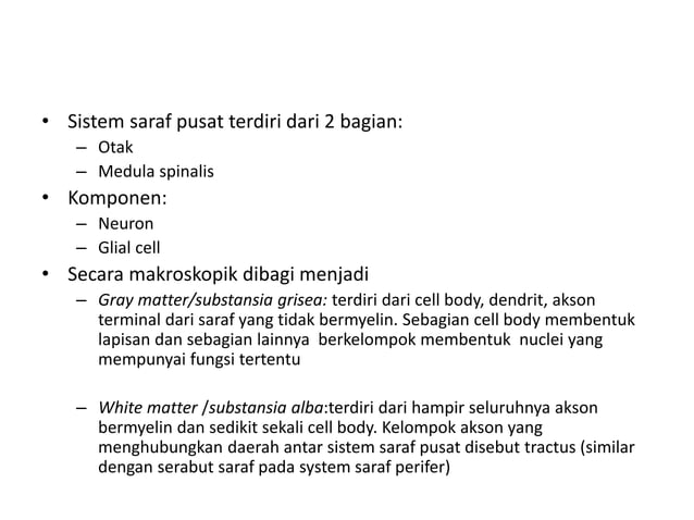 anatomi sistem saraf pusat dan perifer belajar mandiri.pdf