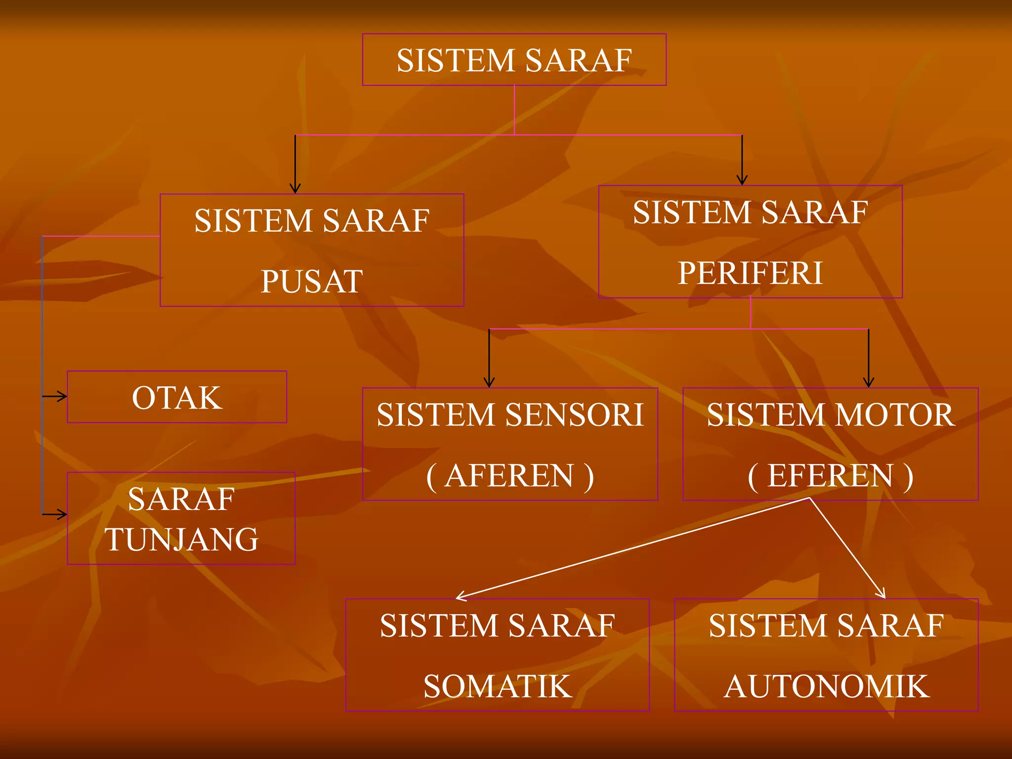 SISTEM SARAF T4.ppt | Free Download