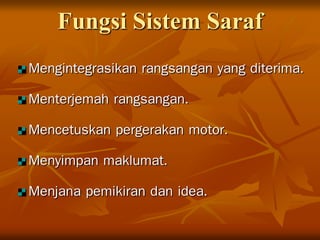 SISTEM SARAF T4.ppt | Free Download