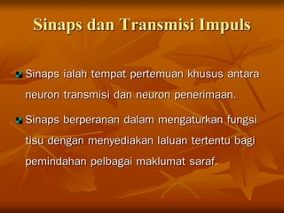 SISTEM SARAF T4.ppt
