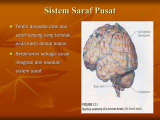 SISTEM SARAF T4.ppt