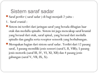 Sistem saraf | PPT