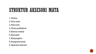 Sistem sensori manusia terkait anatomi dan fisiologi.pptx