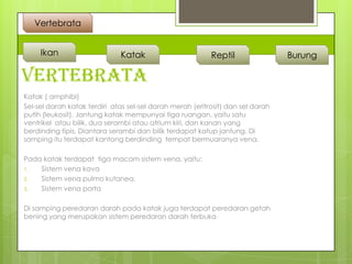 Sistem Sirkulasi | PPTX