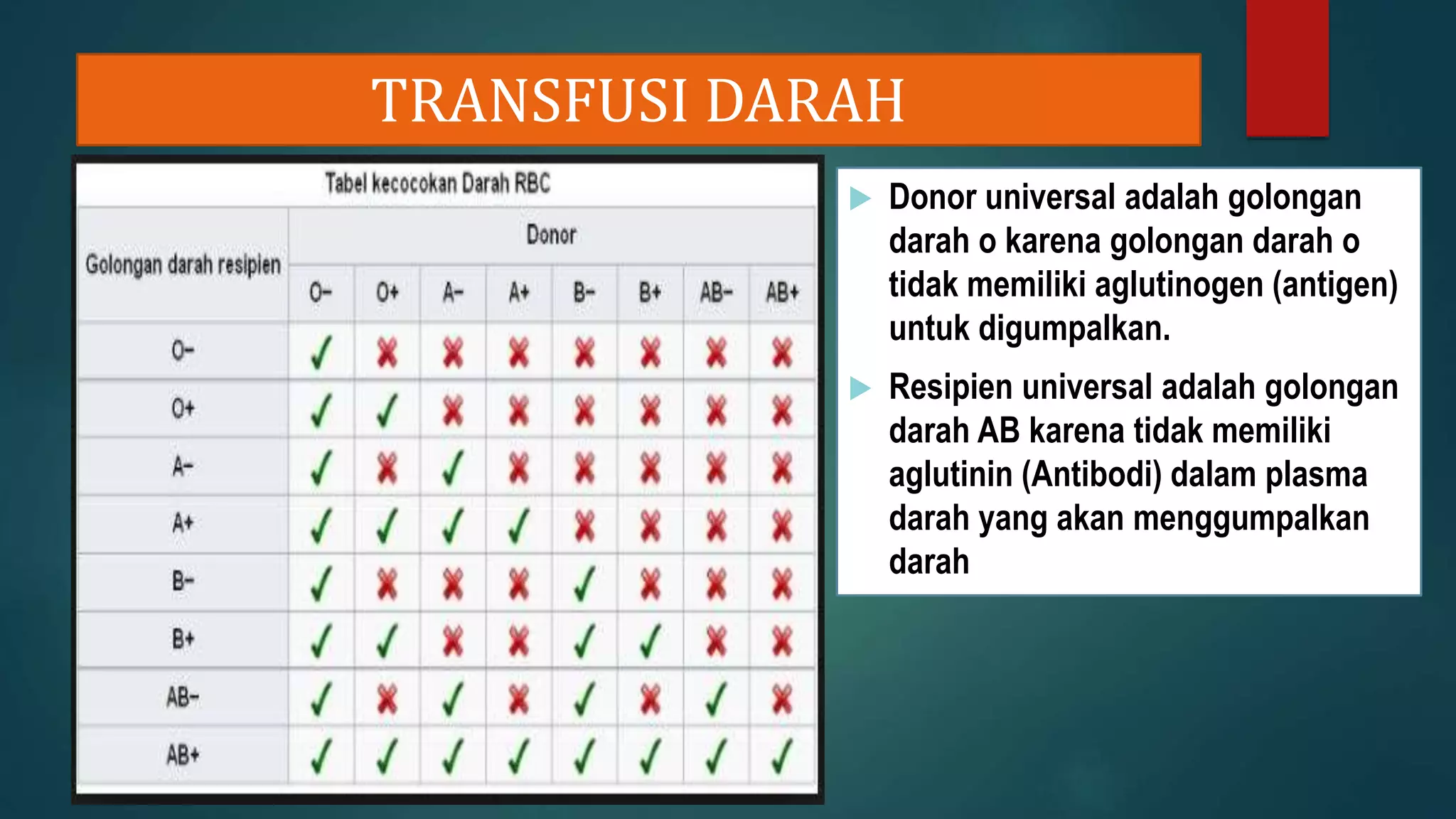 Sistem sirkulasi | PPTX