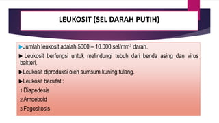 Sistem sirkulasi | PPTX