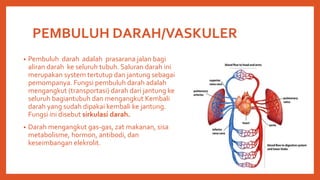 SISTEM SIRKULASI jantung dan pembuluh darah pada manusia | PDF