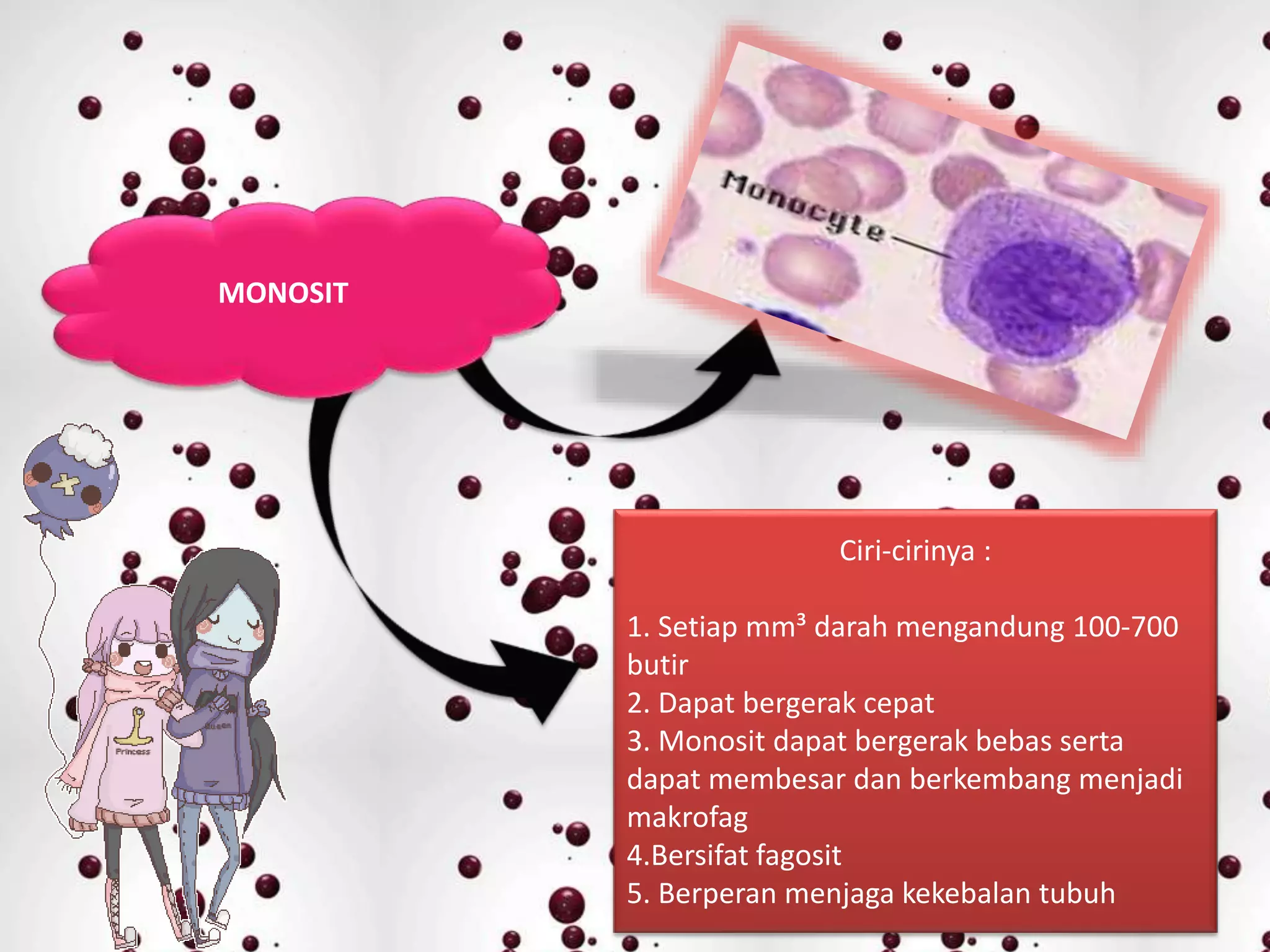 SISTEM PEREDARAN DARAH MANUSIA DAN HEWAN | PPTX