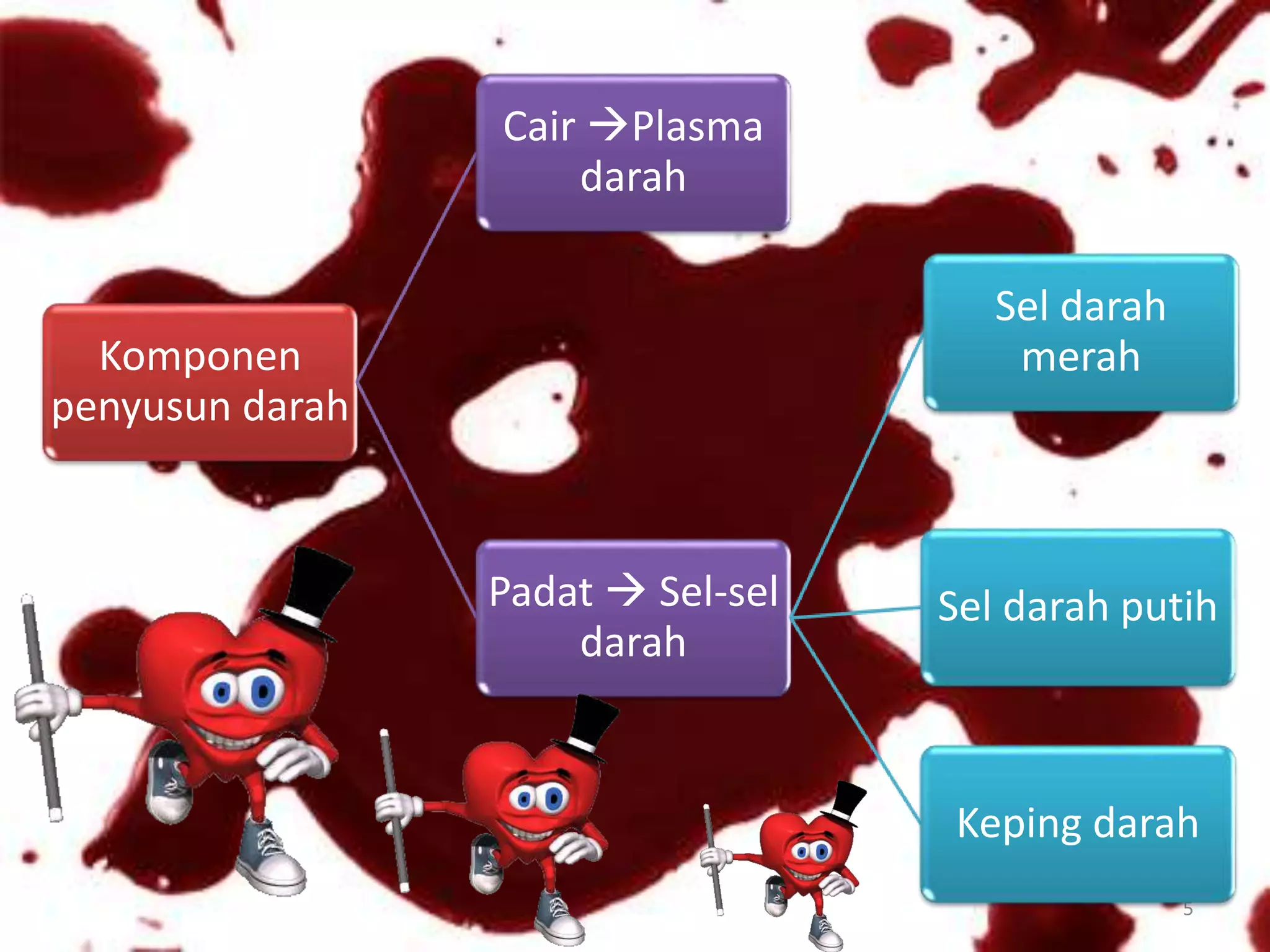 SISTEM PEREDARAN DARAH MANUSIA DAN HEWAN | PPTX