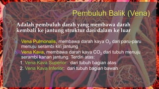 Sistem sirkulasi darah | PPT