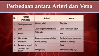 Sistem sirkulasi darah | PPTX