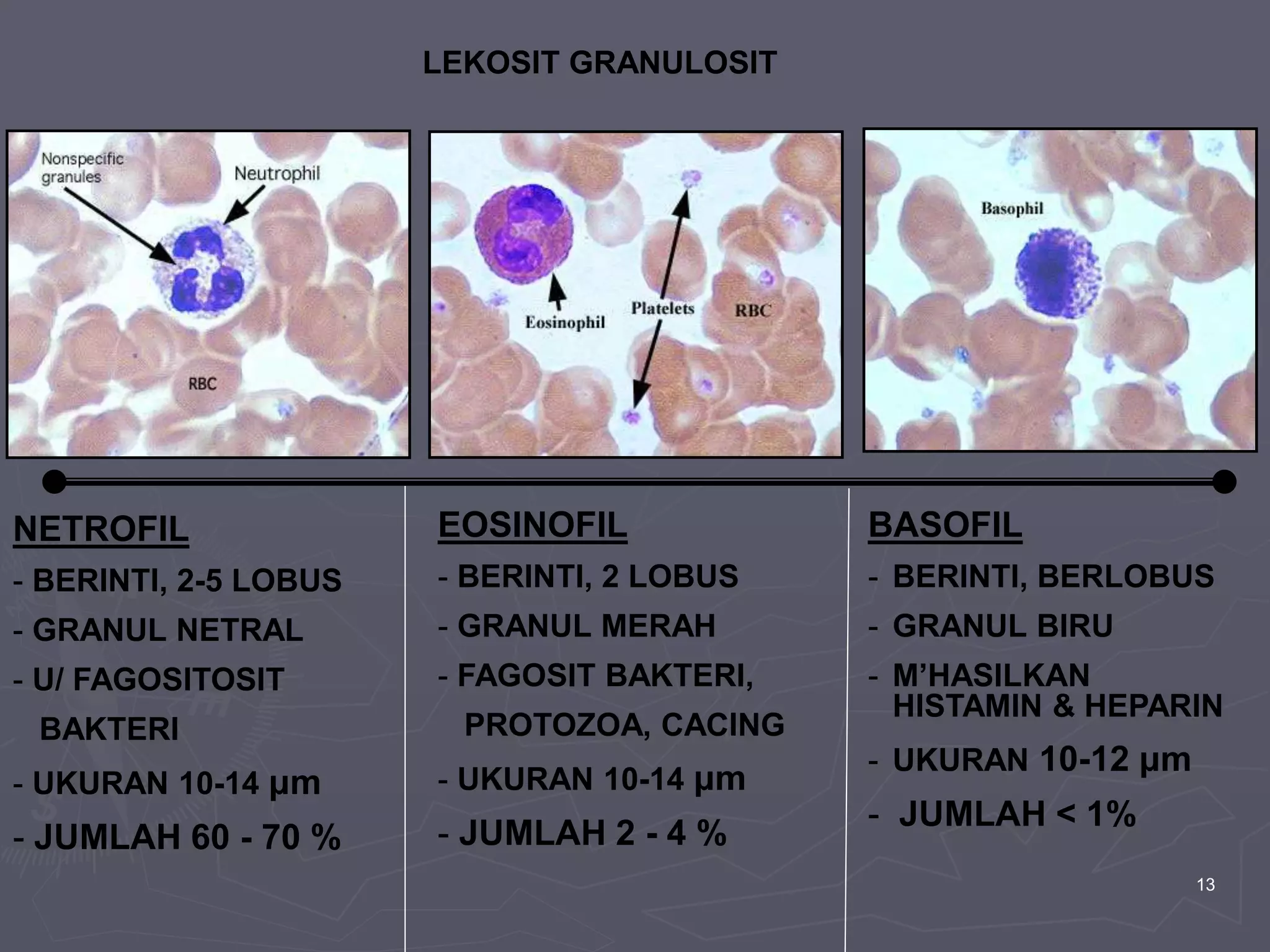 Sistem_Sirkulasi_Darah.ppt