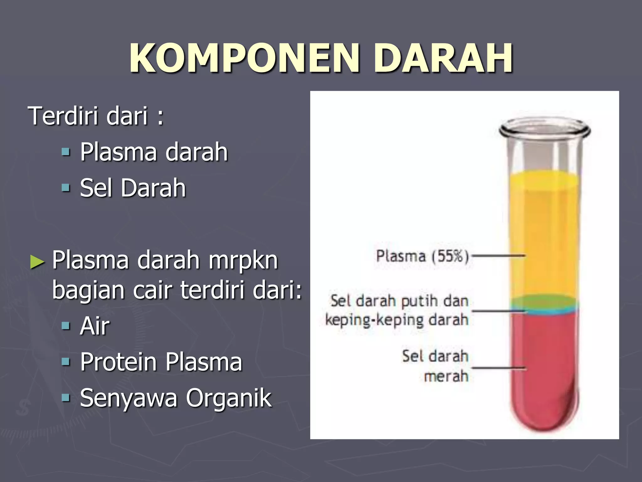 Sistem_Sirkulasi_Darah.ppt