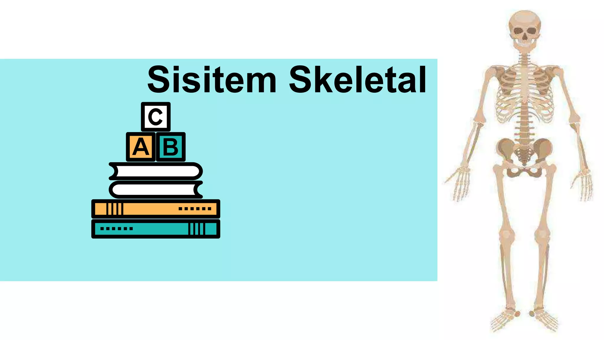 SISTEM SKELETAL.pptx