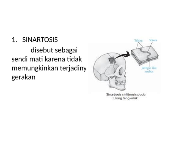 SISTEM SKELETAL.pptx Anatomy Fisiologi human | PPT