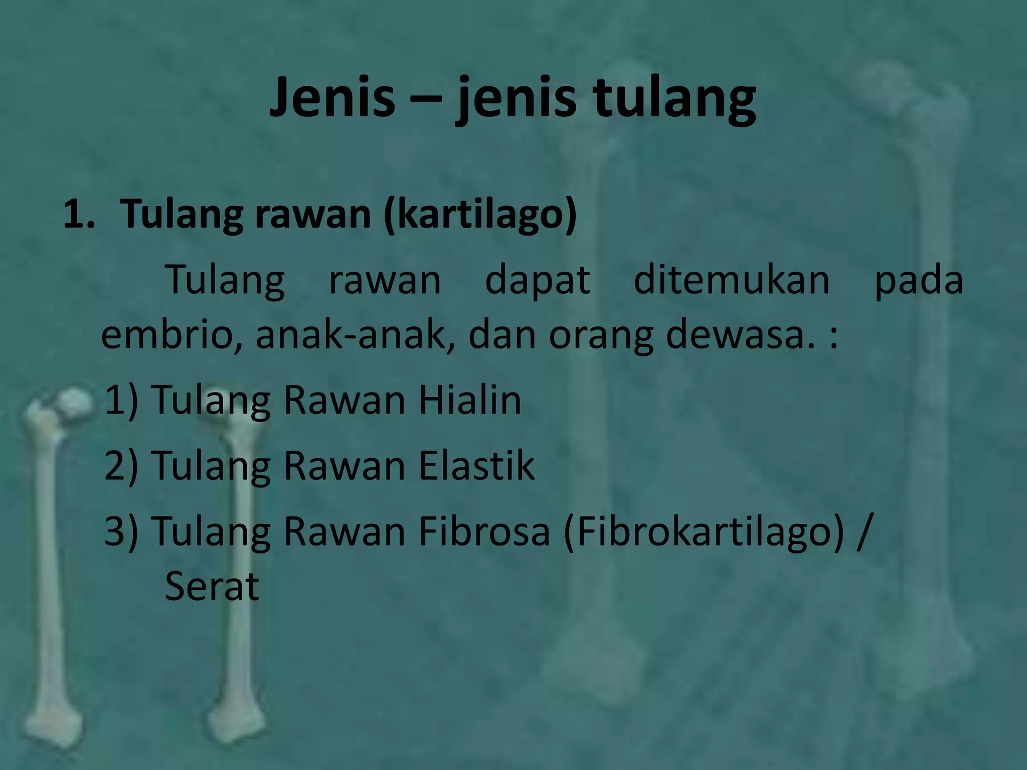 Sistem skeleton hewan vertebrata | PPTX