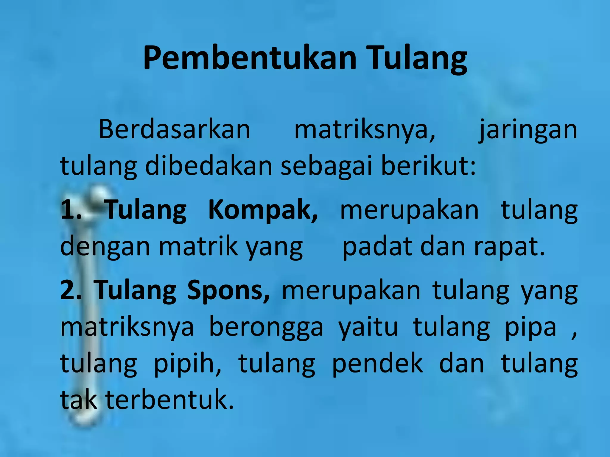 Sistem skeleton hewan vertebrata | PPTX