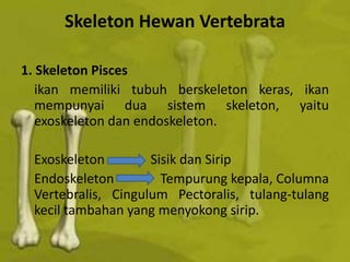Sistem skeleton hewan vertebrata | PPTX