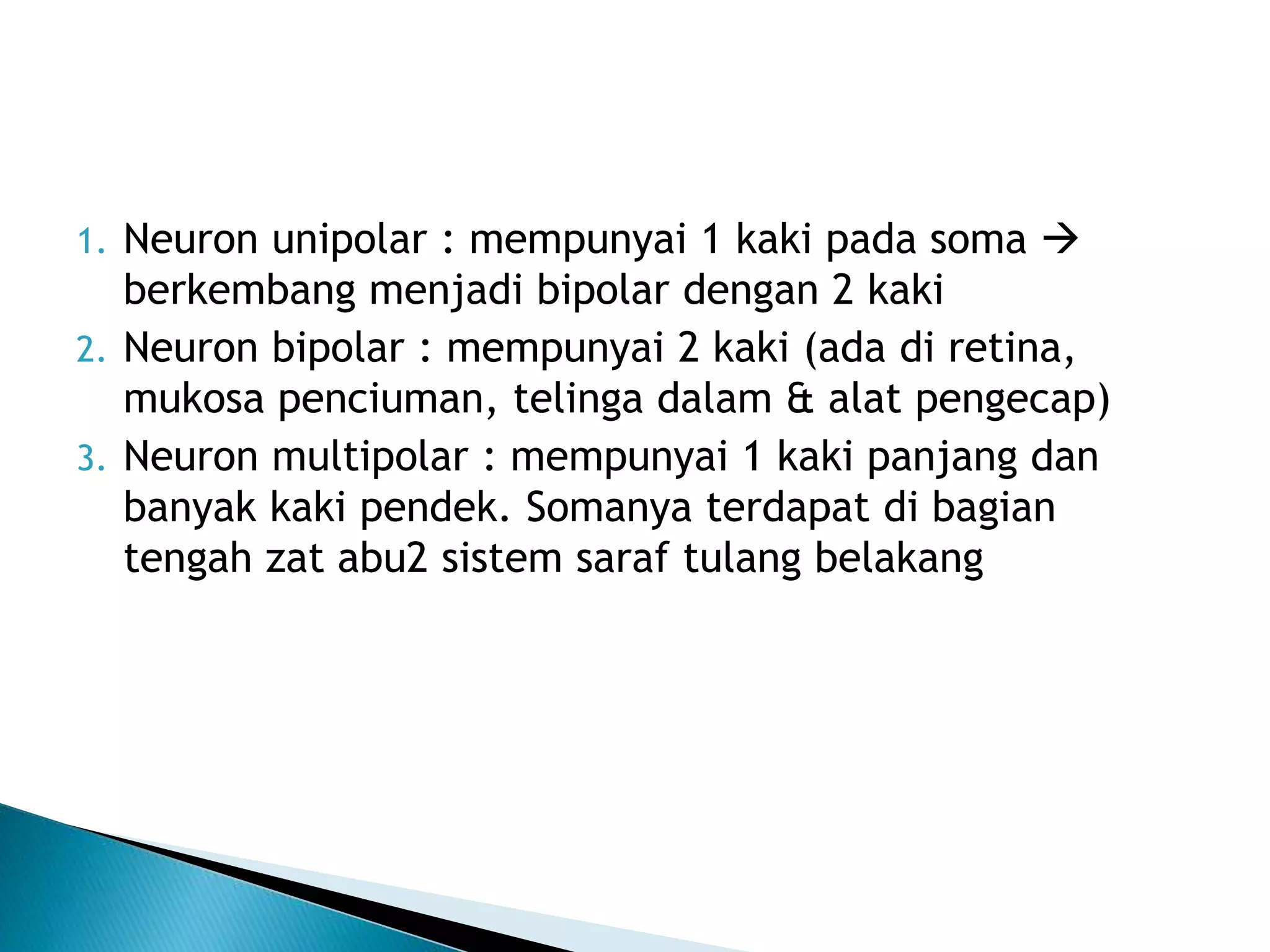 Sistem syaraf | PPTX