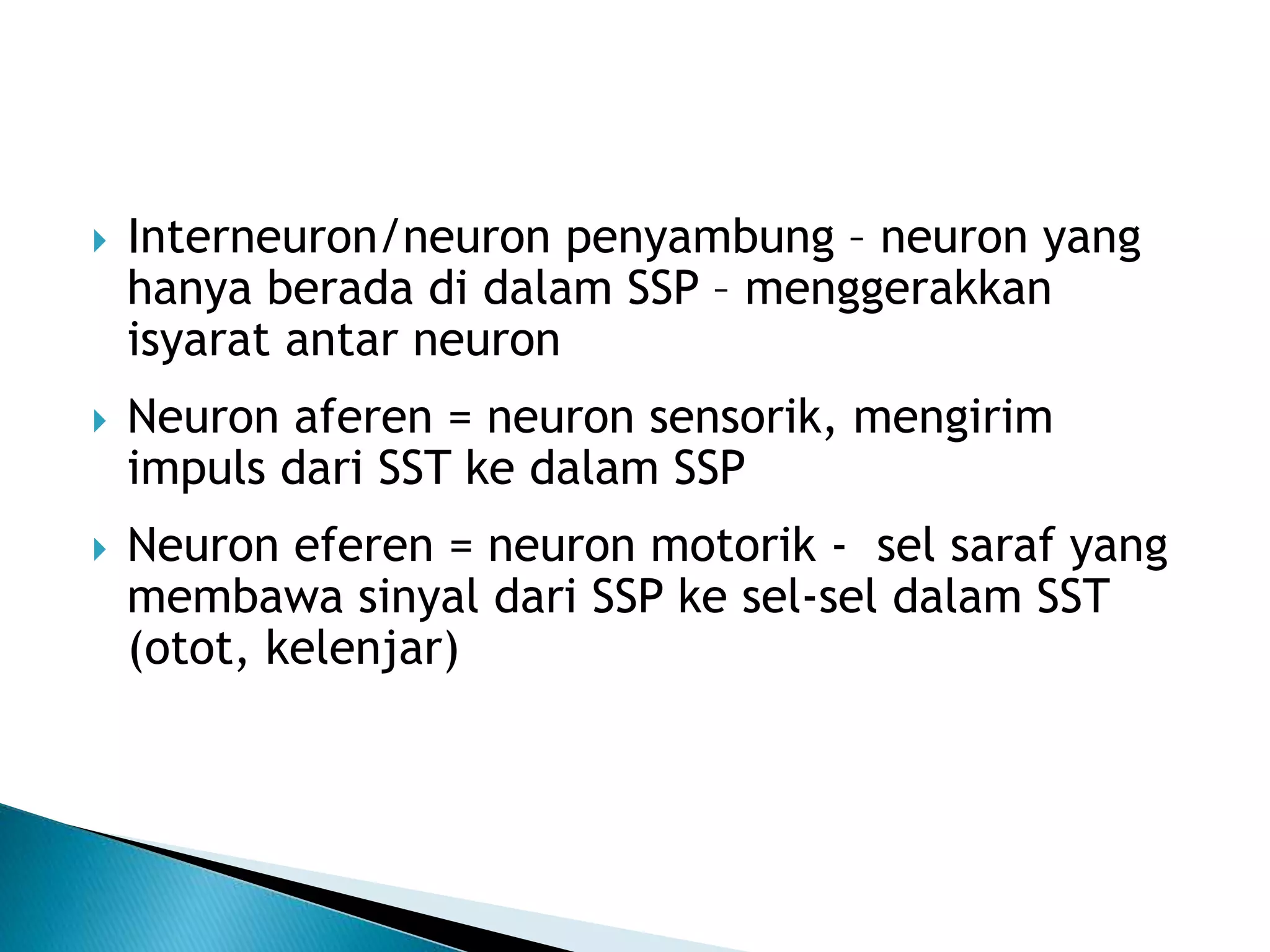 Sistem syaraf | PPTX