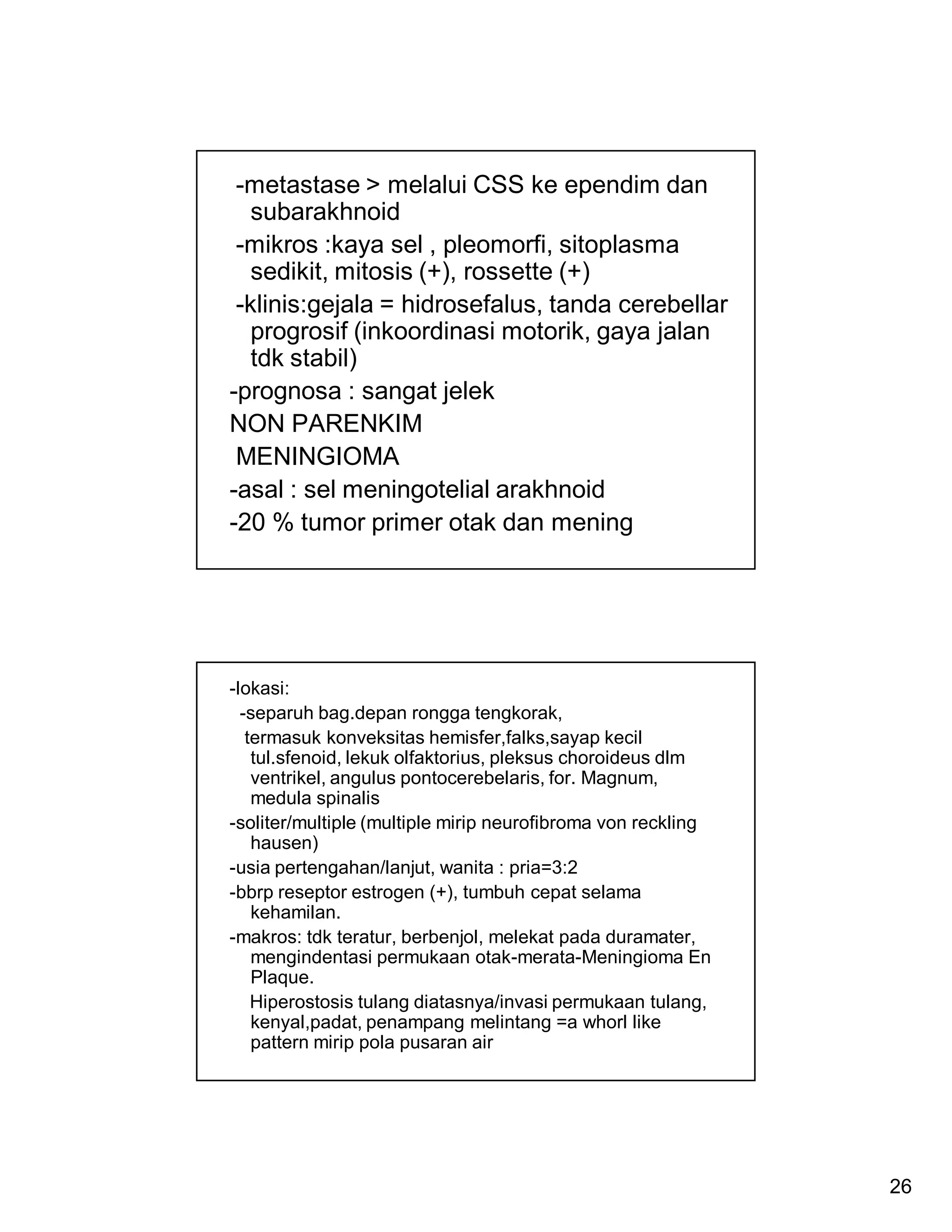 Sistem syaraf b | PDF
