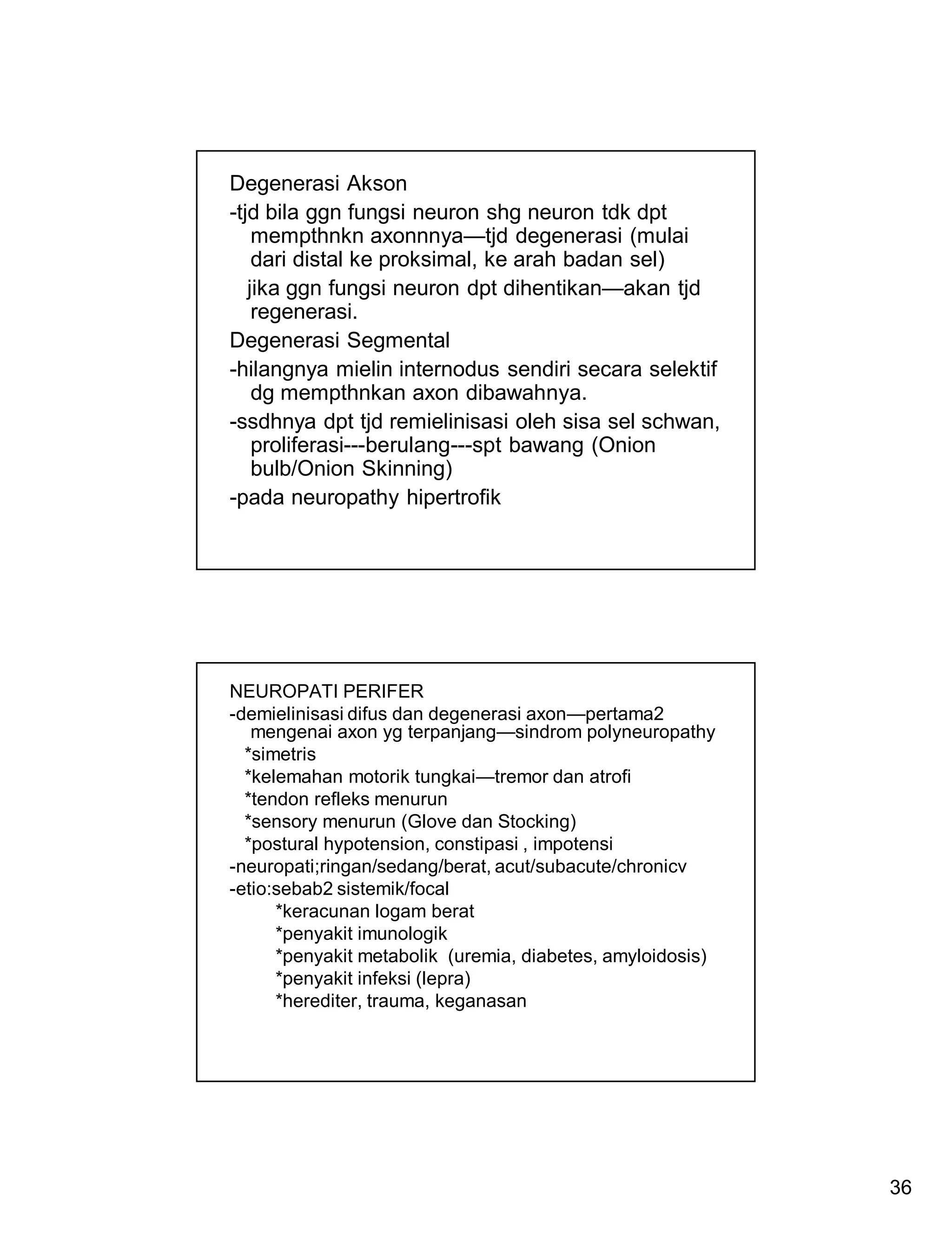 Sistem syaraf b | PDF