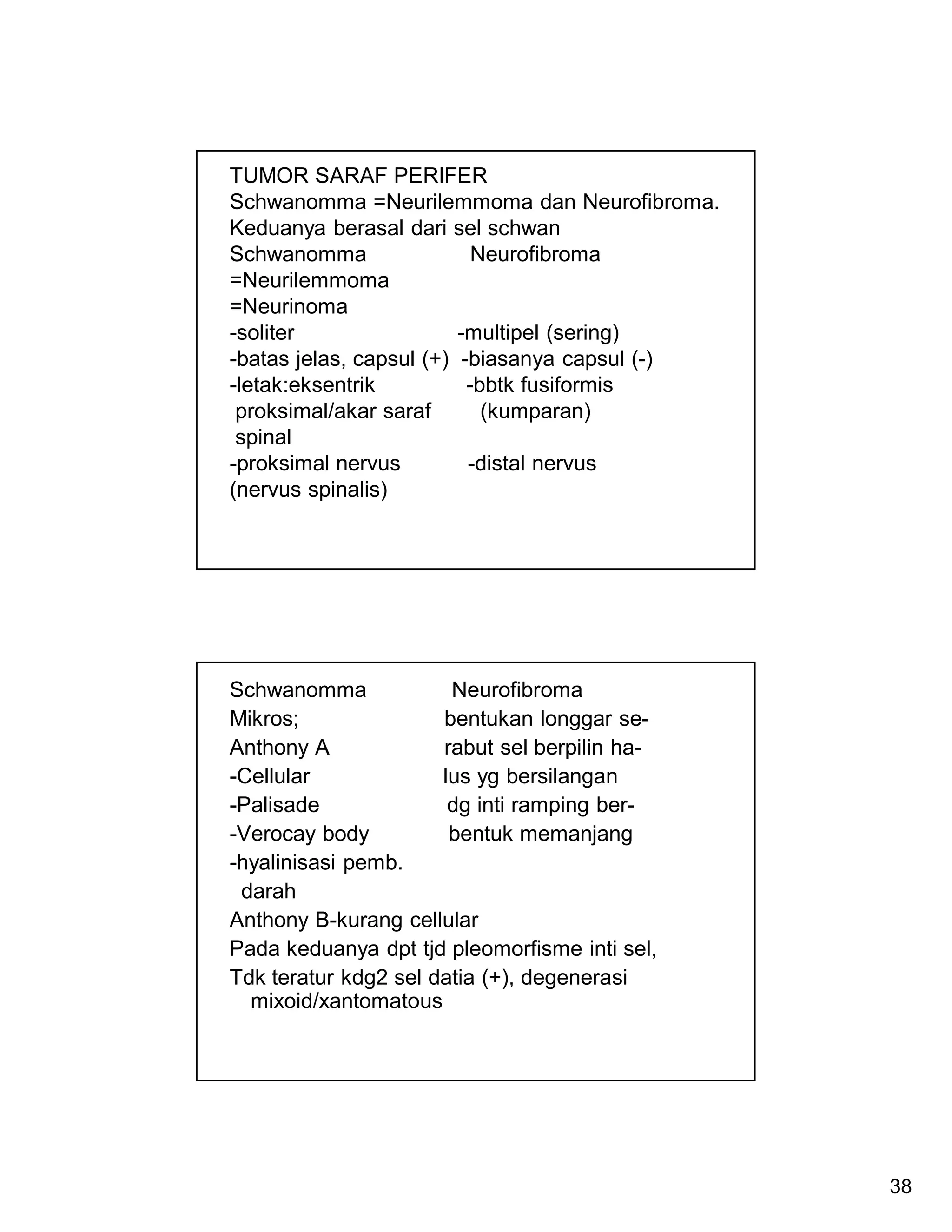 Sistem syaraf b | PDF