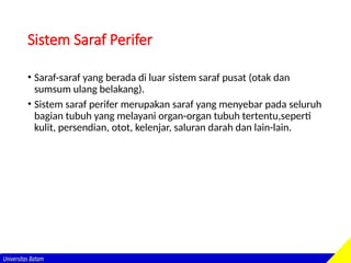 Anatomi Fisiologi Sistem Syaraf Pusat dan Otonom | PPTX