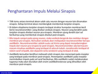 Anatomi Fisiologi Sistem Syaraf Pusat dan Otonom | PPTX