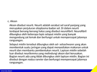 Anatomi Fisiologi Sistem Syaraf Pusat dan Otonom | PPTX