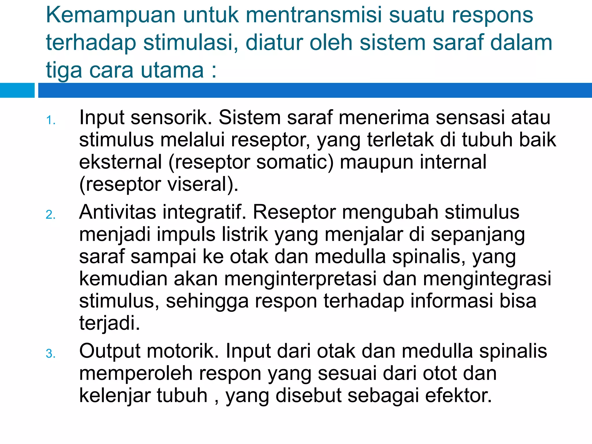 Sistem_Syaraf_pada_ibu_hamil.ppt