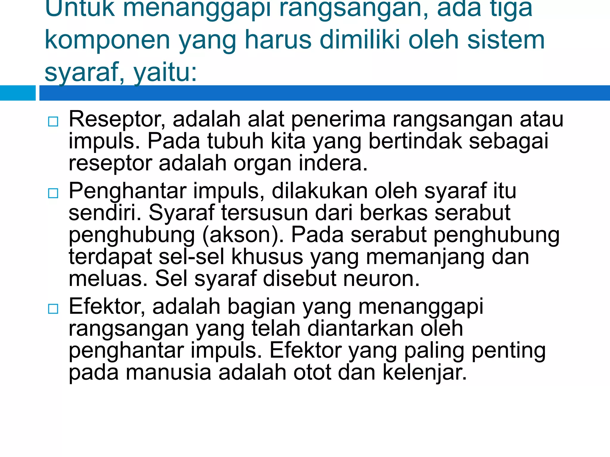 Sistem_Syaraf_pada_ibu_hamil.ppt