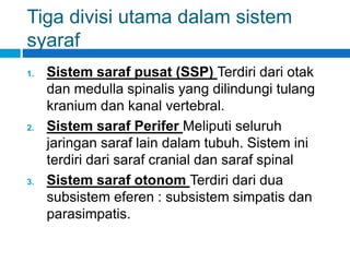 Sistem_Syaraf_pada_ibu_hamil.ppt