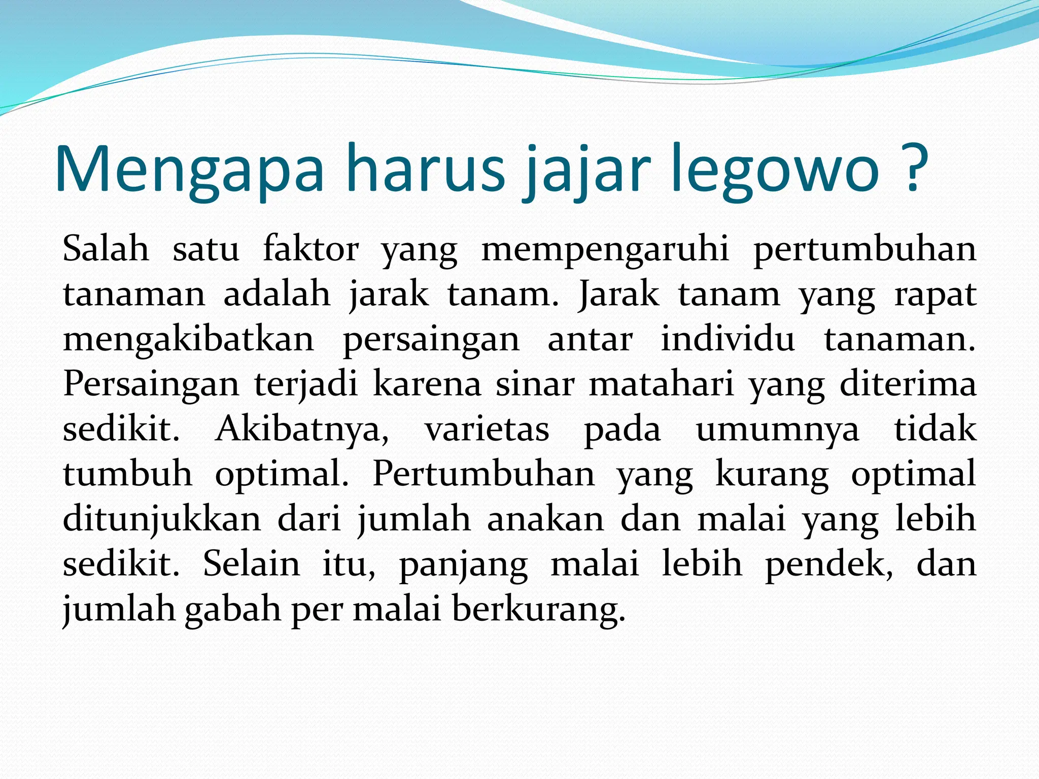 Sistem Tanam Jajar Legowo.pptx