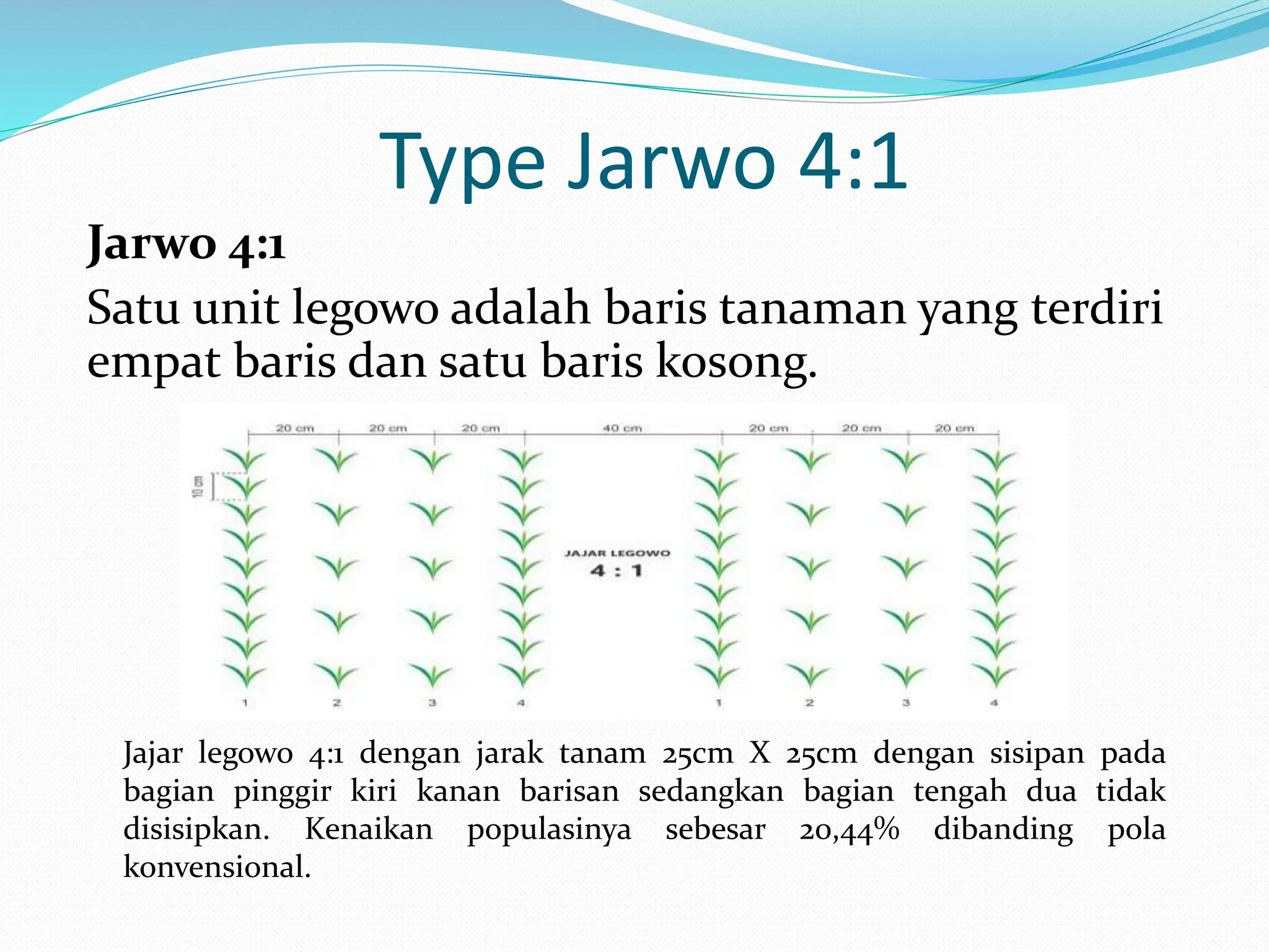 Sistem Tanam Jajar Legowo.pptx