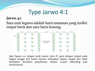Sistem Tanam Jajar Legowo.pptx