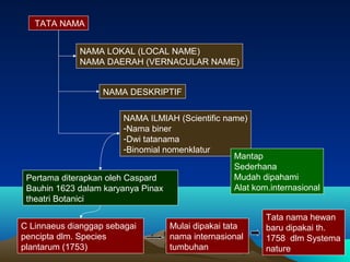 Sistem Tata Nama Tumbuhan | PPT