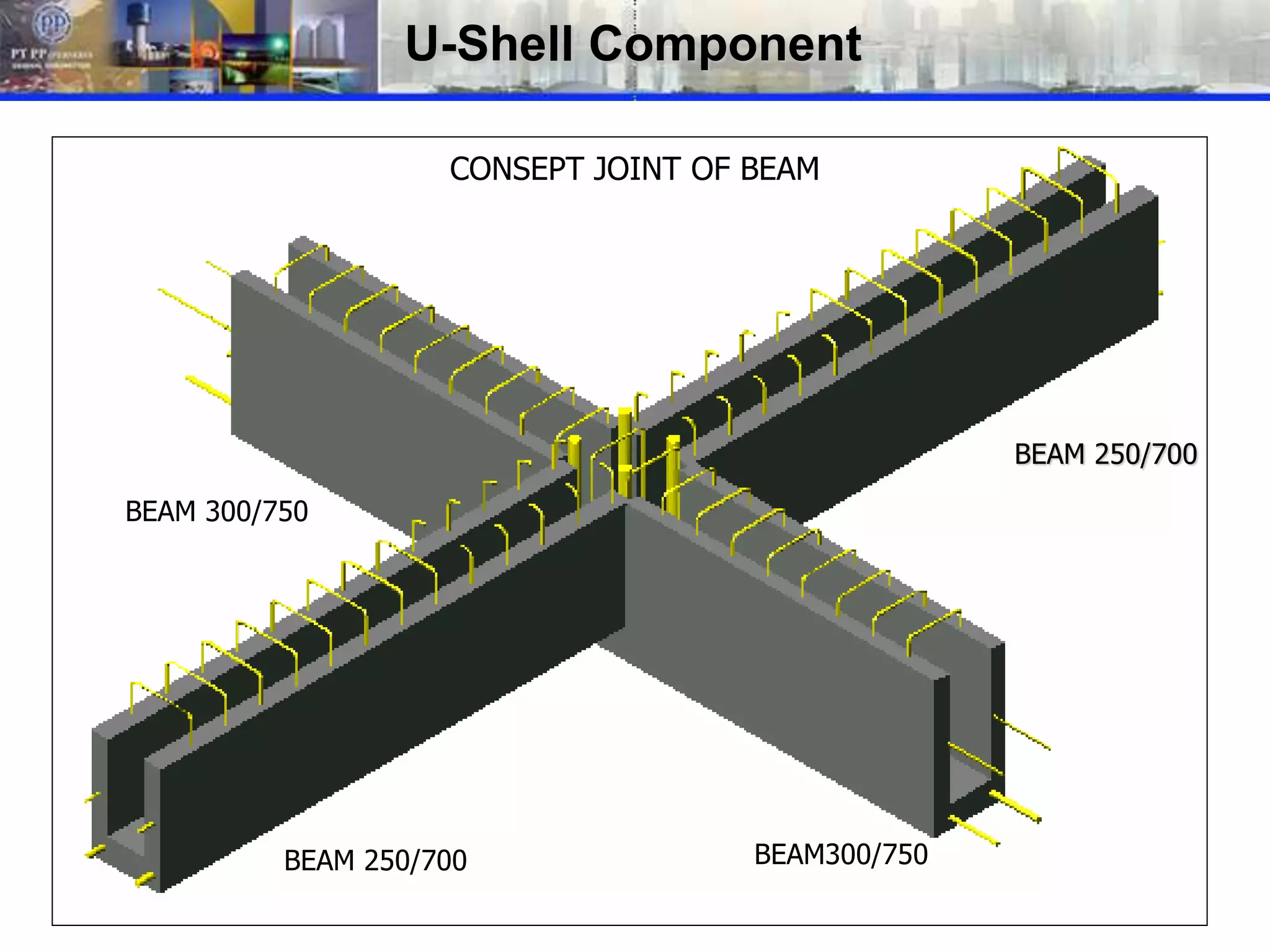 Sistem T Cap & U Shell.ppt