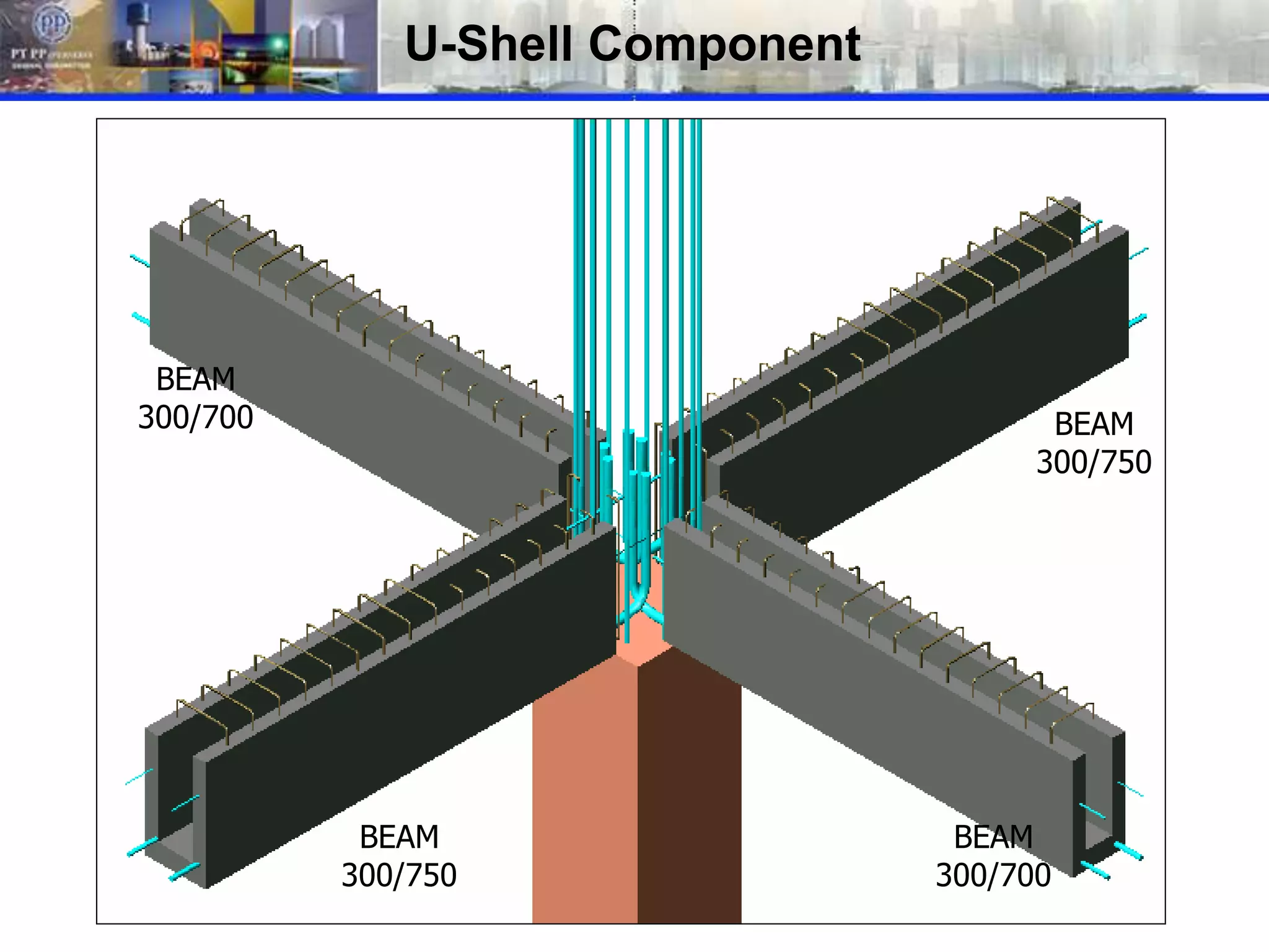 Sistem T Cap & U Shell.ppt